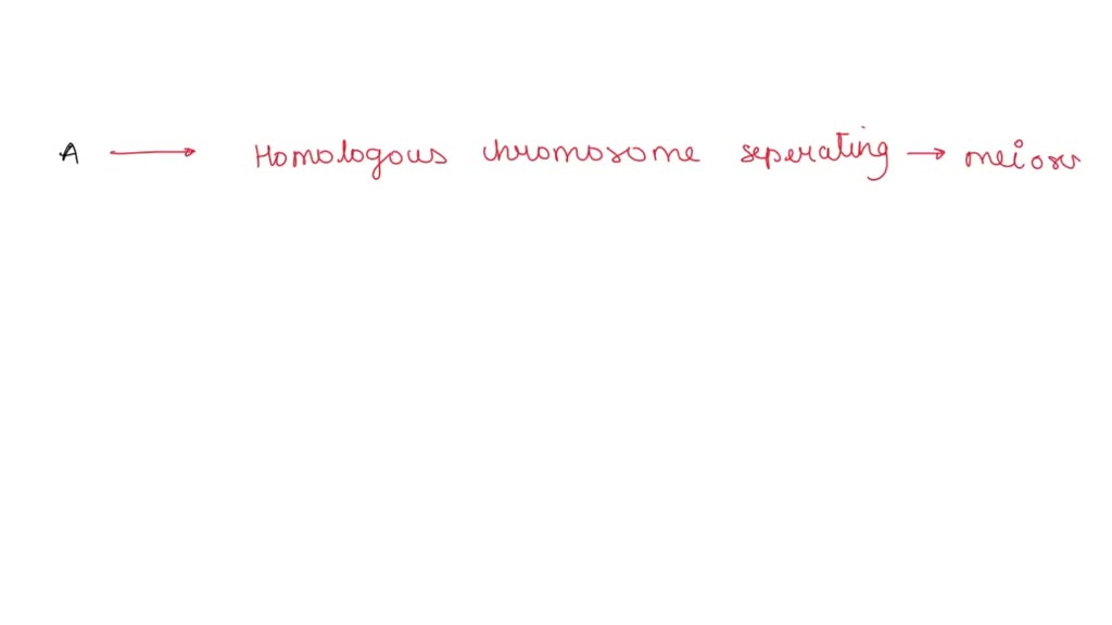 SOLVED: The following diagrams show a cell with the genotype AaBb going ...