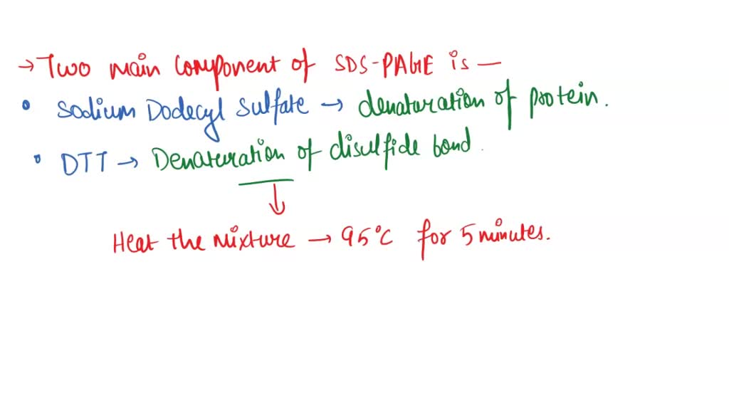 SOLVED: Why was the vector construct initially transformed into DH5 ...