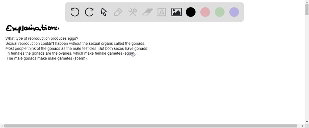 SOLVED: All three types of worms that undergo asexual reproduction use ...