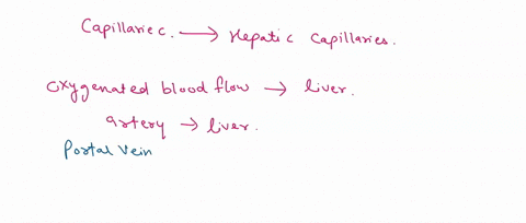 All the following describe normal portal venous flow...