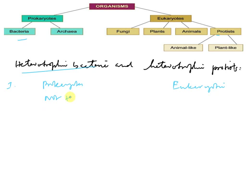 SOLVED: 'PLEASE HELP!! 50 points 3. Explain how you can use the ...
