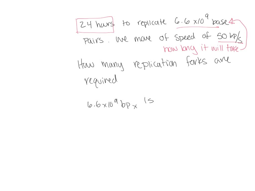 SOLVED: Some of the most rapidly dividing cell types in humans are the ...