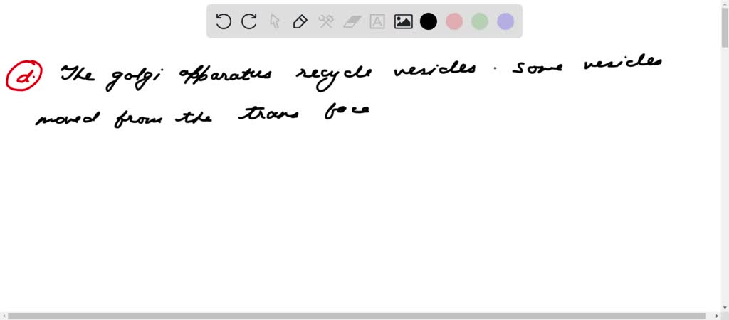 SOLVED: The image is a depiction of a Golgi apparatus labeled at the ...