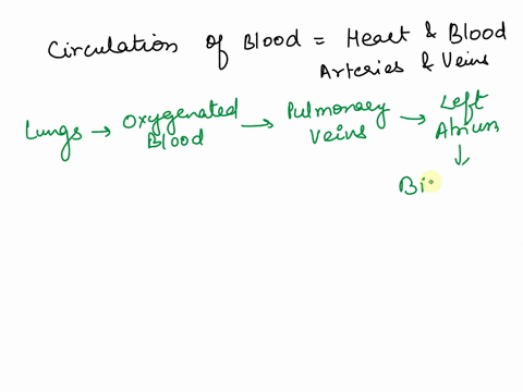 Place the labels in numerical order denoting the flow of...