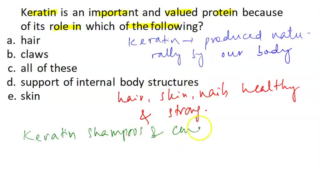 SOLVED: Keratin is the key structural material making Up the outer ...