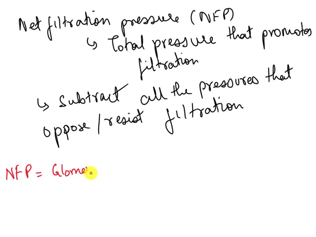 SOLVED: Given the following information, calculate the net filtration ...