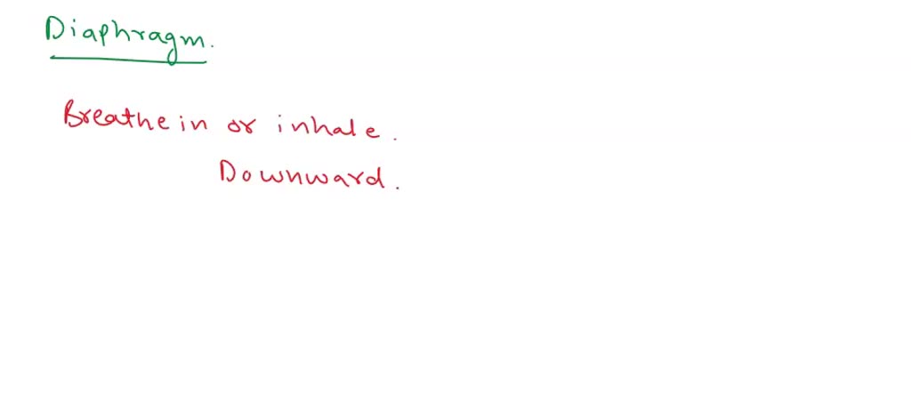 SOLVED: In humans, the lungs inflate when the In humans, the lungs ...
