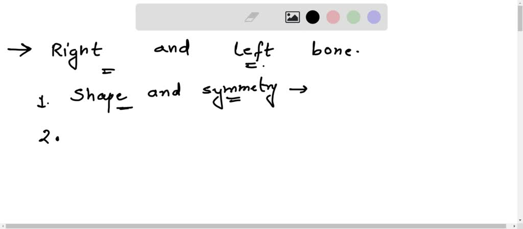 SOLVED: How do I differentiate between right and left bones ...