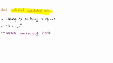 Ciliated Epithelial Cells • Unique structural feature(s)...