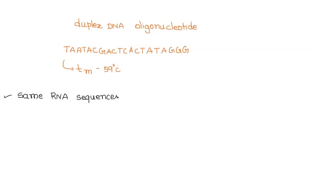 SOLVED: A duplex DNA oligonucleotide in which one of the strands has ...