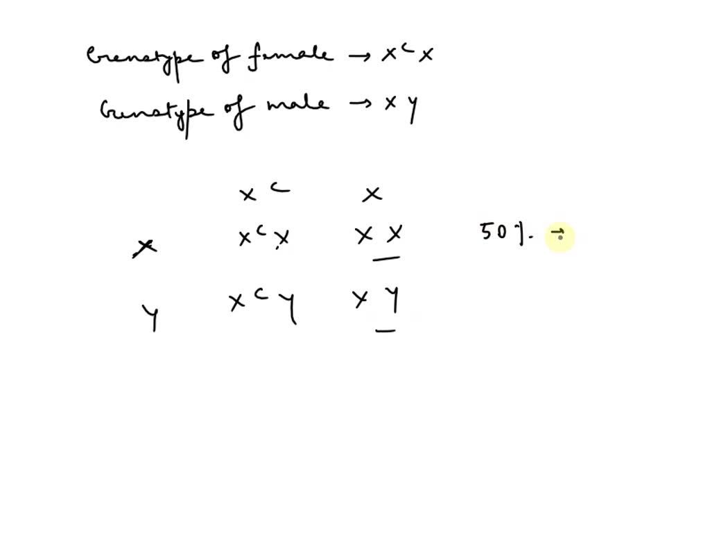 SOLVED: Question 70 (1 point) A man with normal vision marries a woman ... SOLVED: Question 70 (1 point) A man with normal vision marries a woman ...
