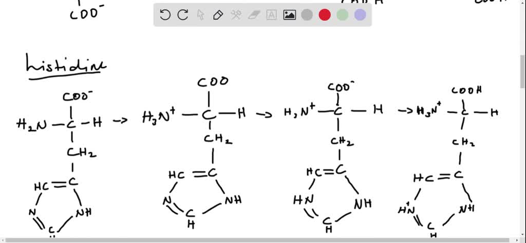 Solved Write The Dissociation Equations For The Following Amino Acids