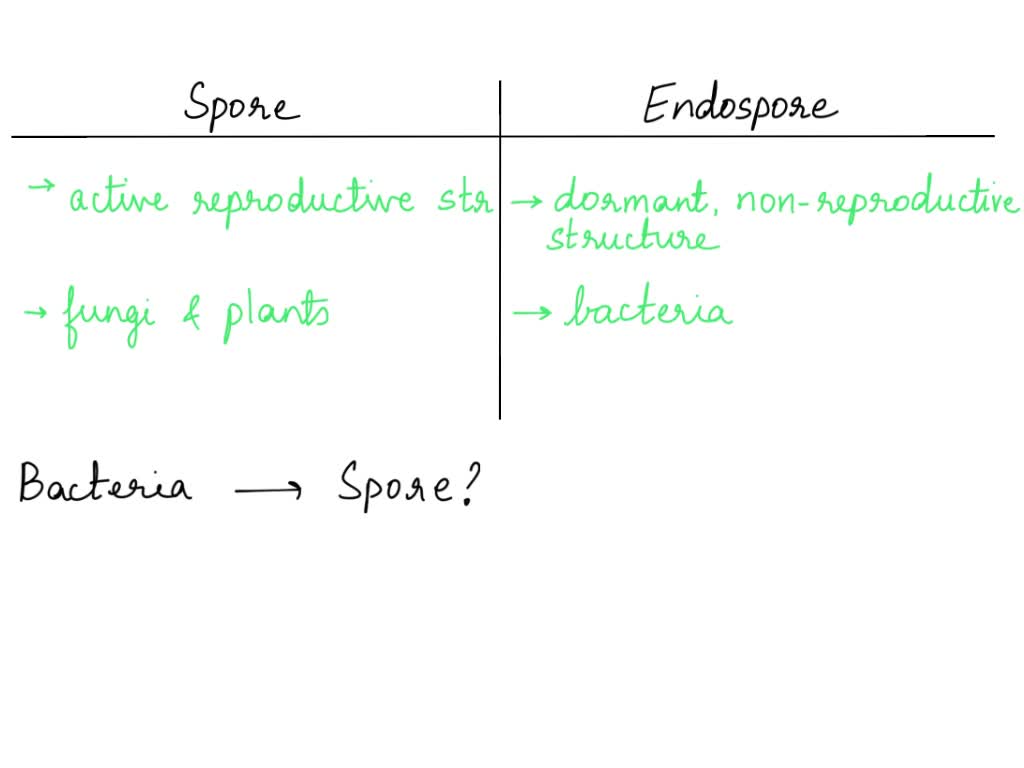 SOLVED: What is the difference between spore production in ...
