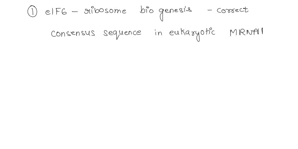 SOLVED: In eukaryotes, translation is initiated by binding of the ...