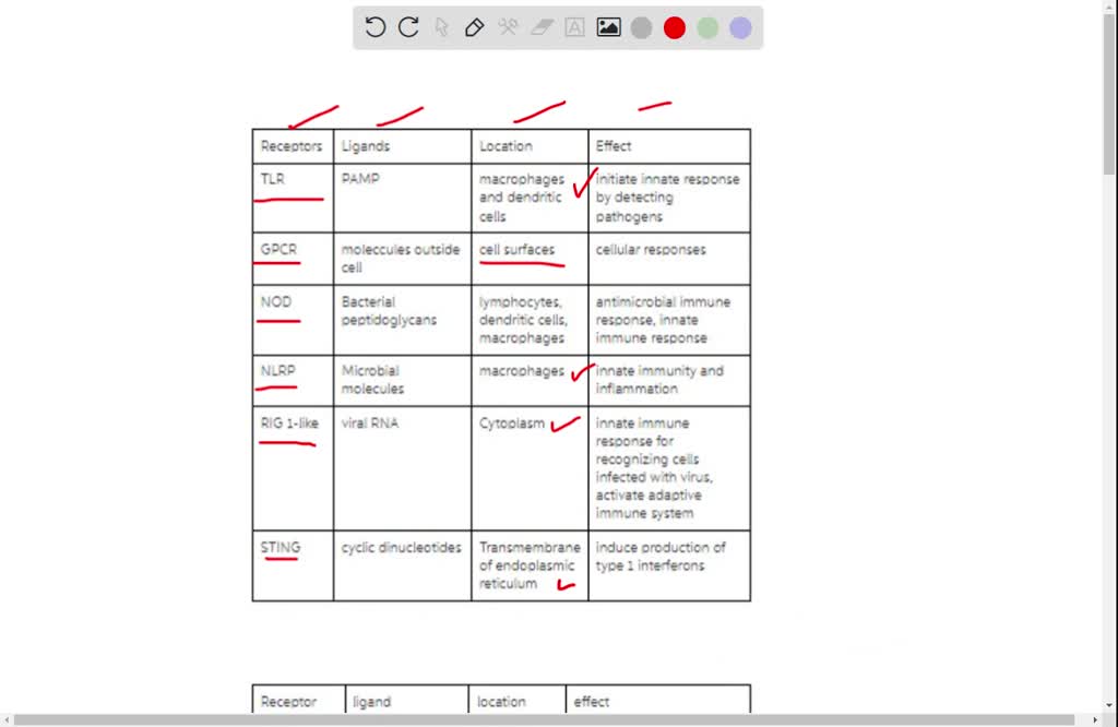 SOLVED: Make a table to identify the different Pattern recognition ...