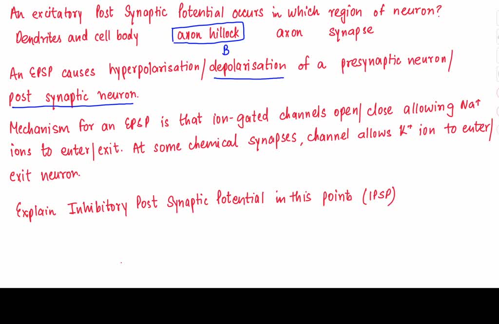 solved-text-1-what-is-the-difference-between-an-epsp-and-an-ipsp-a