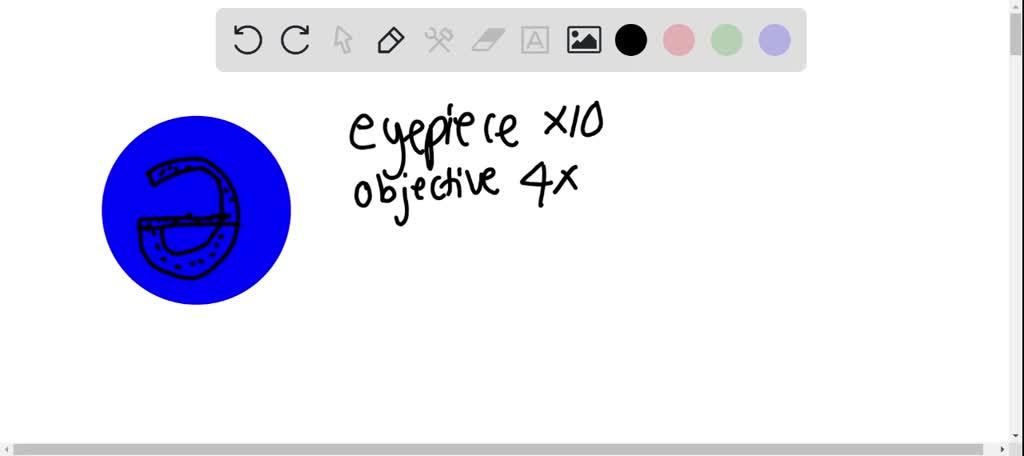 SOLVED: Using the letter "e" slide and the 4x (scanning) objective lens: Using the circle on the ...