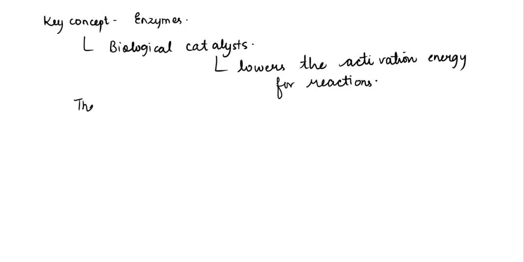 SOLVED: Which of the following is used as a filter aid? a. enzymes b ...