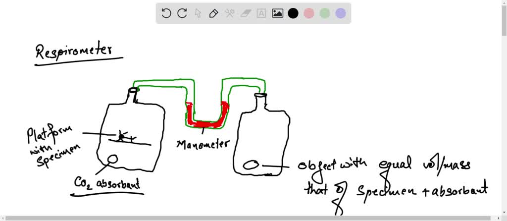 SOLVED: A respirometer is used to measure how much oxygen is used up in ...