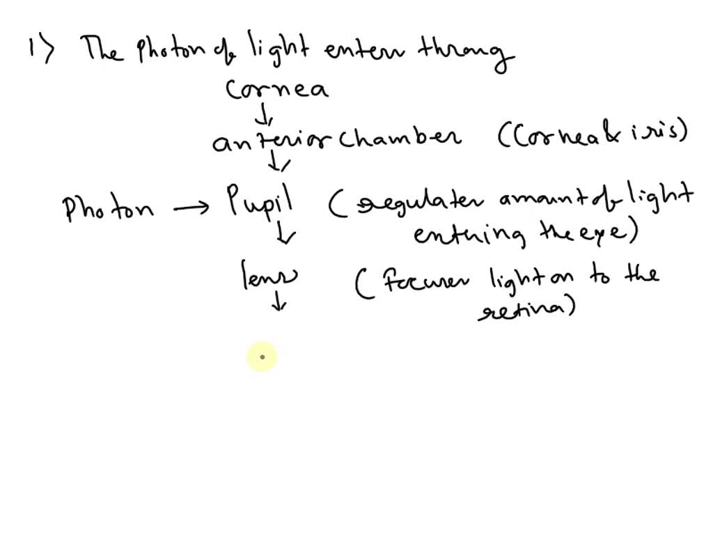 SOLVED: Through the nervous pathway that is established back to the ...
