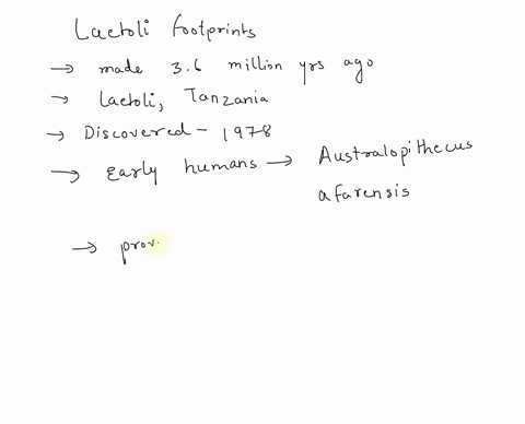 The laetoli footprints demonstrate that the foot of...