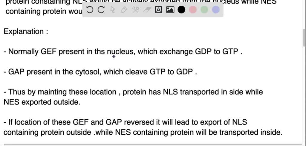 SOLVED: According to the model for nuclear transport described in the ...