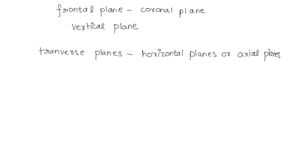 SOLVED: A sagittal plane separates a body into: 1. Left and right ...