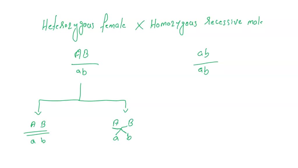 SOLVED: PART TWO CROSSING OVER AND LINKAGE MAPS A fruit fly triply ... SOLVED: PART TWO CROSSING OVER AND LINKAGE MAPS A fruit fly triply ...
