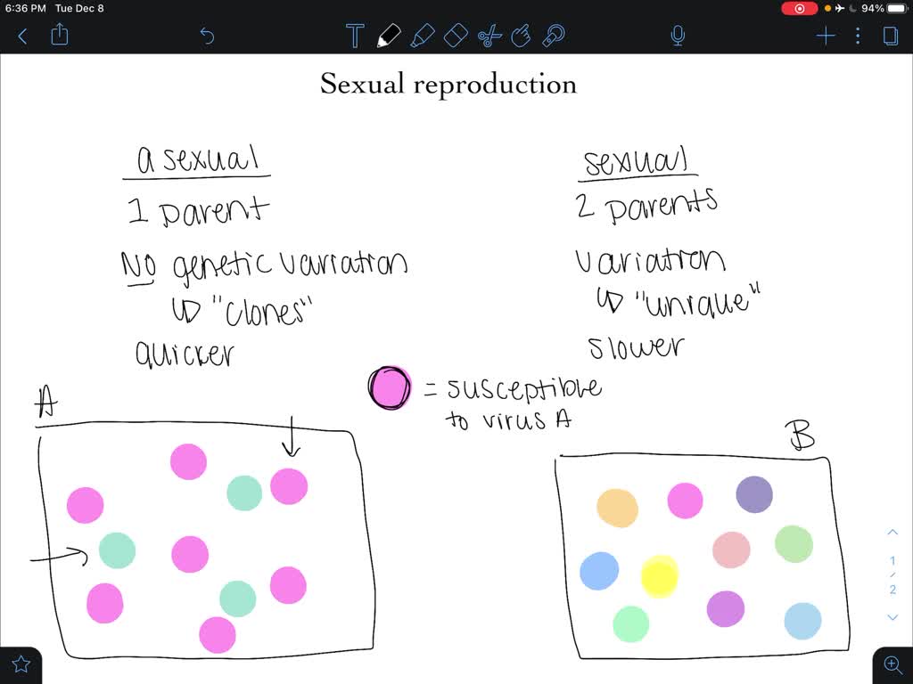 SOLVED: What is a likely evolutionary advantage of sexual reproduction ...