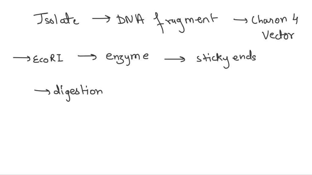 SOLVED: Describe the process of cloning a DNA fragment into the EcoRI ...