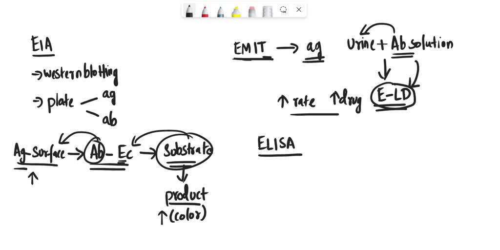 SOLVED: Explain the basic principle of enzyme immunoassay. What types ...