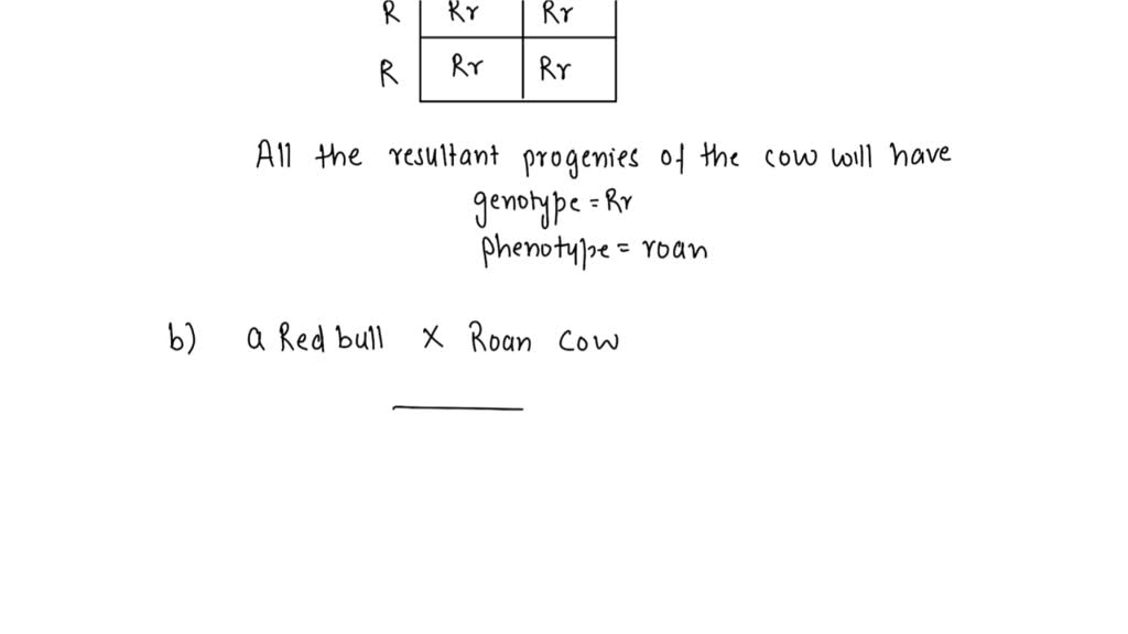 SOLVED: Draw genetic diagrams to show the possible genotypes of ...
