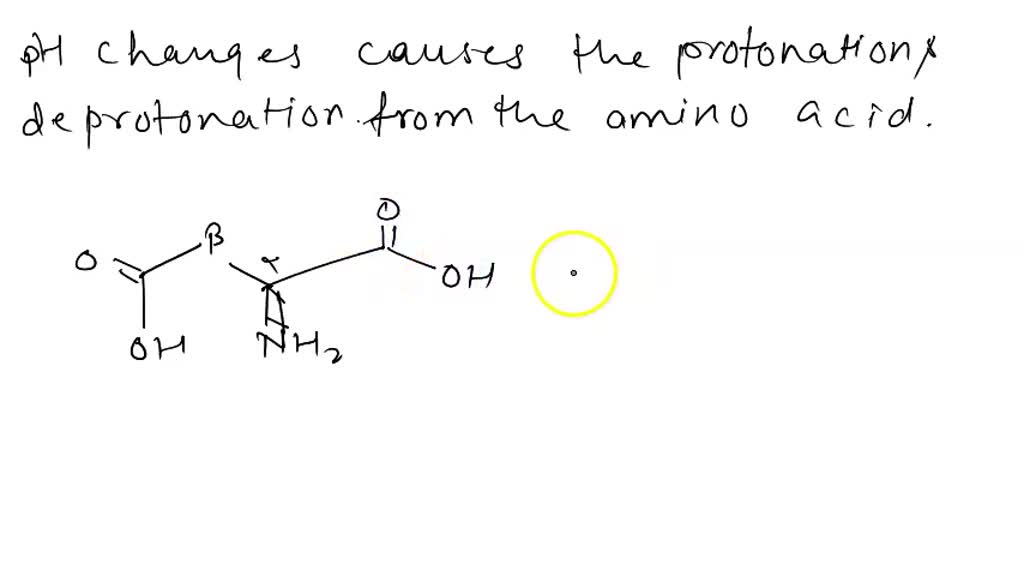 SOLVED: Draw a structural formula for the form of each amino most ...