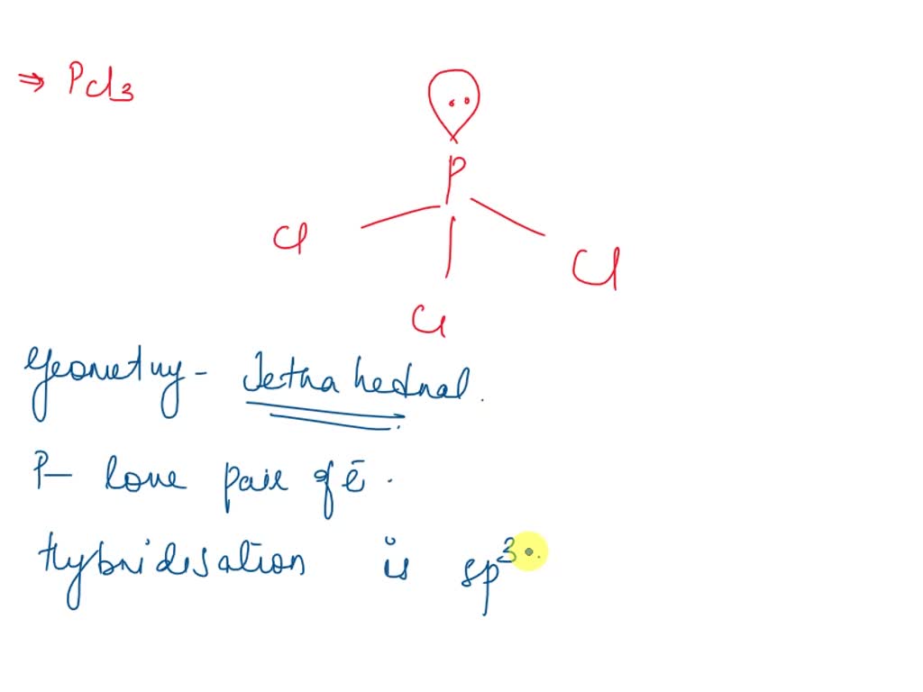 SOLVED: Which response contains all of the characteristics listed that ...