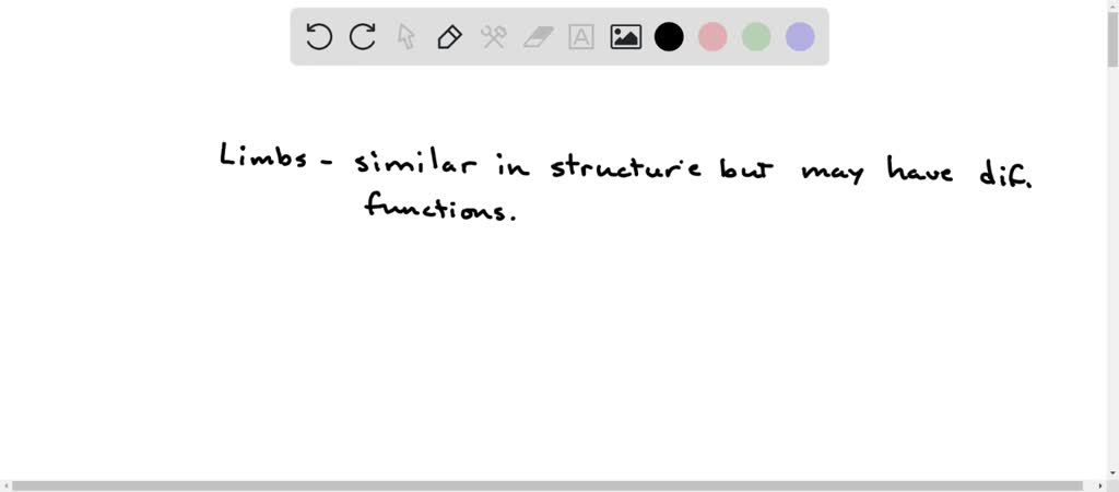 SOLVED: Features that are similar in underlying form in different ...