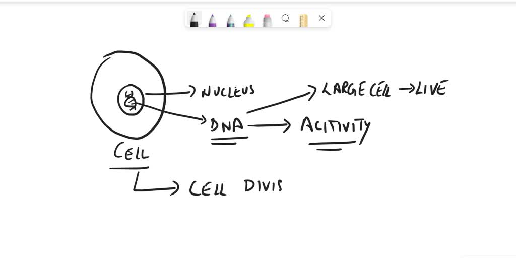 SOLVED: The DNA of a cell is not programmed to coordinate the ...