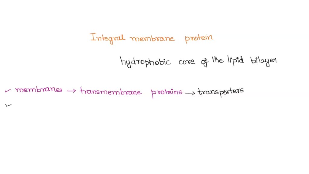 SOLVED: an integral membrane protein crosses the membrane with many ...