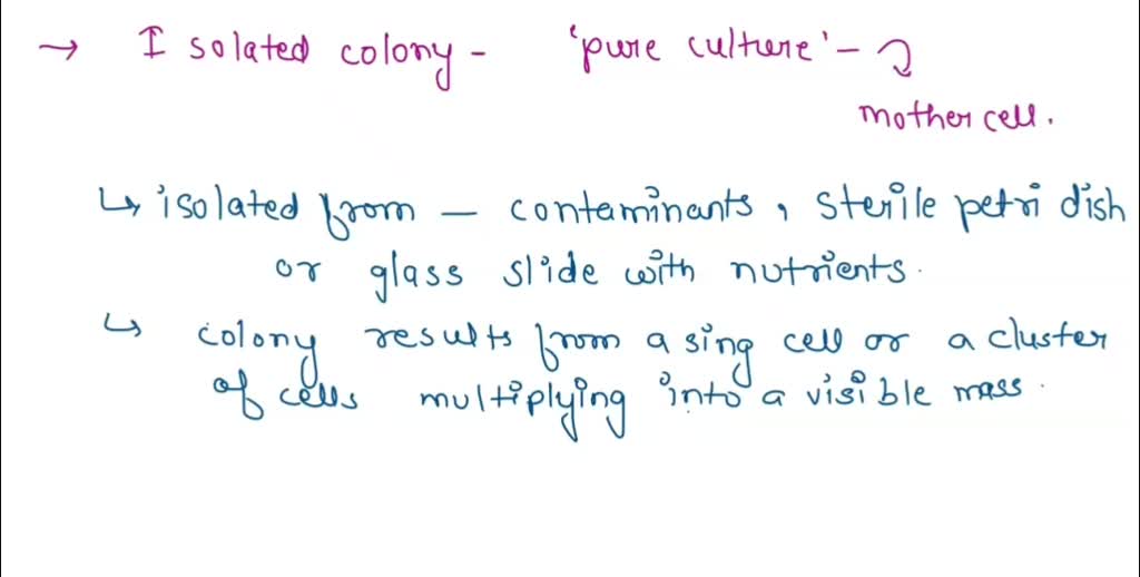 SOLVED: Formation of Isolated Colonies Please select all of the ...