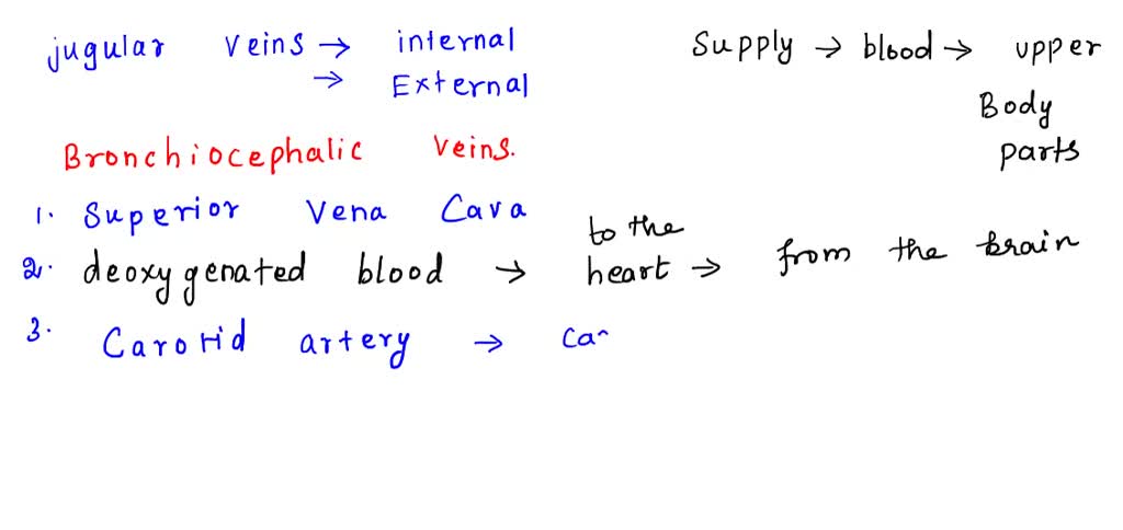 SOLVED: med surge Types of lines describe each and what they're used ...