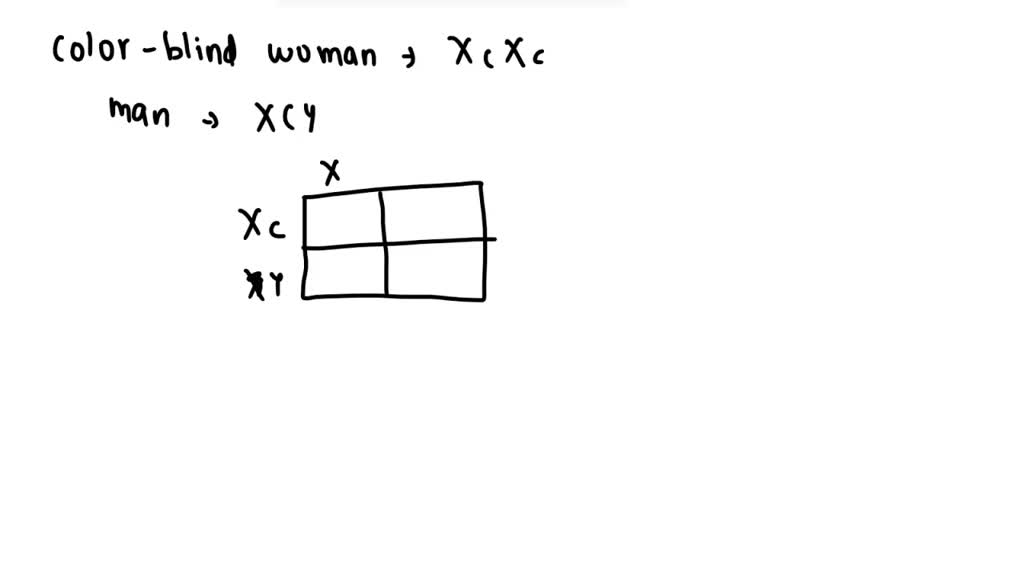 Solved Describe The Transmission Of X Linked Recessive Traits When A Color Blind Woman Mates