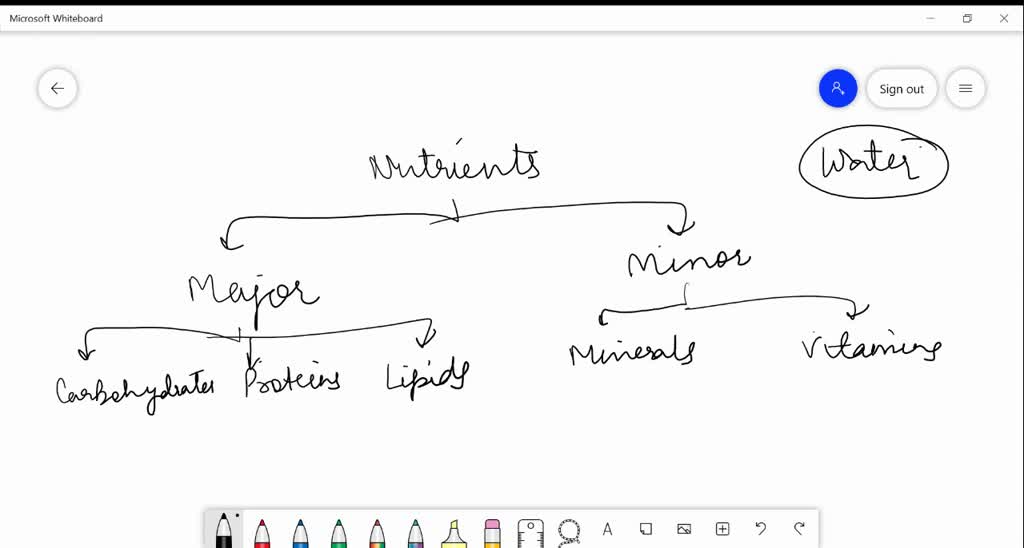 SOLVED: Regulation of body processes is major function of which classes ...