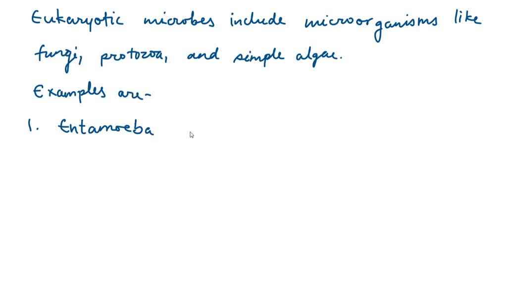 SOLVED: 2 examples of macroscopic groups and 2 examples of microscopic groups for the following ...