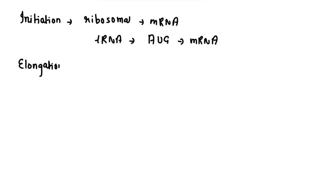 SOLVED: Describe the steps (Initiation, Elongation and Termination ...