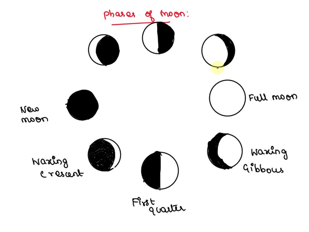 SOLVED: Two days after the new moon phase, a small part of the moon is ...