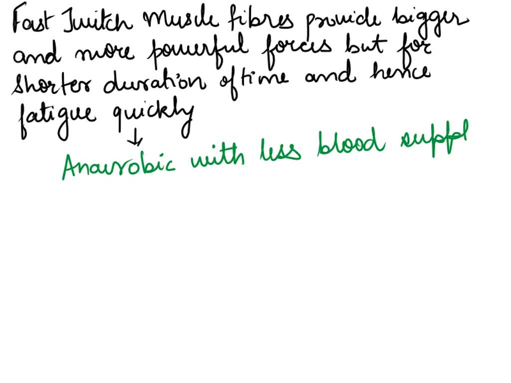 SOLVED: Which muscle fiber type has the highest shortening velocity? a ... SOLVED: Which muscle fiber type has the highest shortening velocity? a ...
