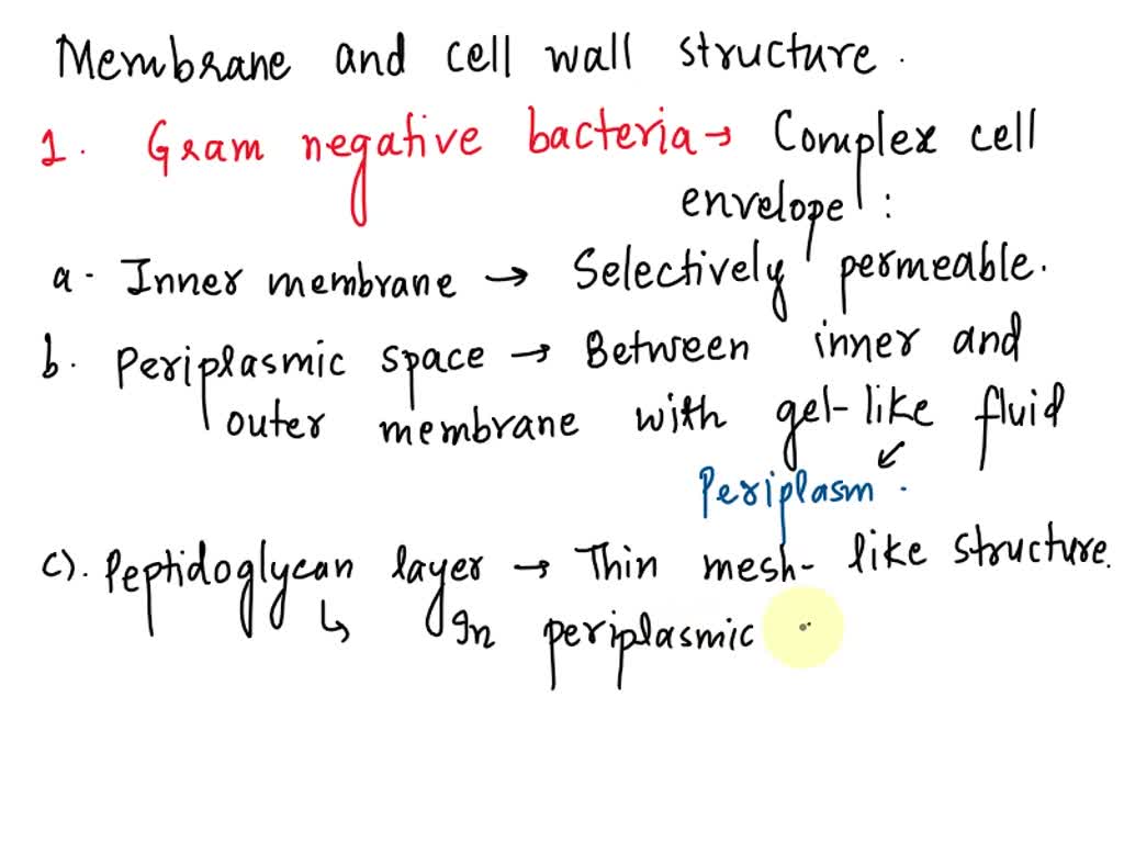 SOLVED: Describe the following exceptions to Gram-positive or Gram ...