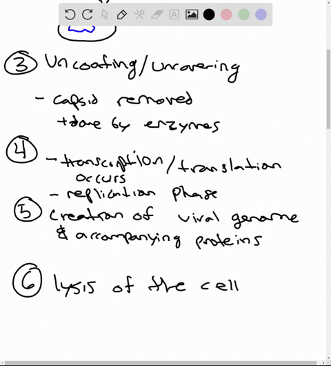 Looking at the five steps in viral replication can you...