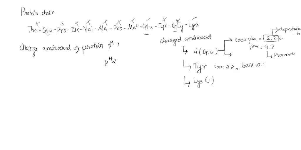 SOLVED: Examine the peptide: Thr-Glu-Pro-Ile-Val-Ala-Pro-Met-Glu-Tyr ...