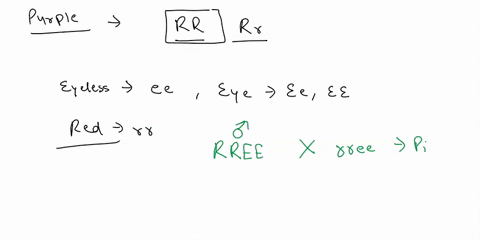 suppose there is only one pair of alleles that control the eye color in ...