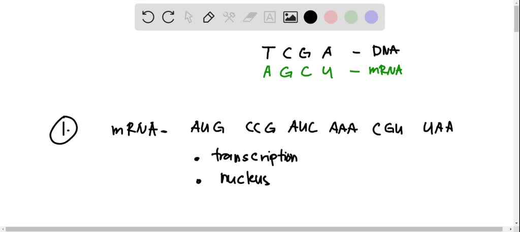 SOLVED: Orksneet DNA Template: TAC GGC TAG TTT GCA ATT Using the DNA ... SOLVED: Orksneet DNA Template: TAC GGC TAG TTT GCA ATT Using the DNA ...